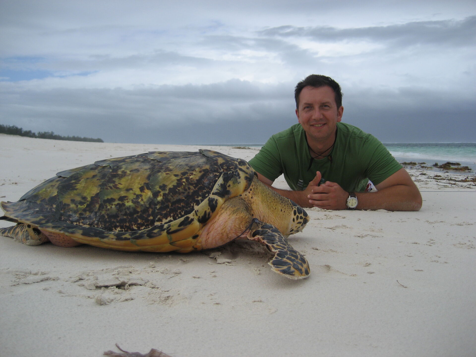 Rhys Jones's Wildlife Patrol | VRT MAX