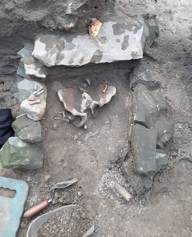Graven van 1.000 jaar oud met menselijke vormen ontdekt in Brugge, oudste archeologische ...