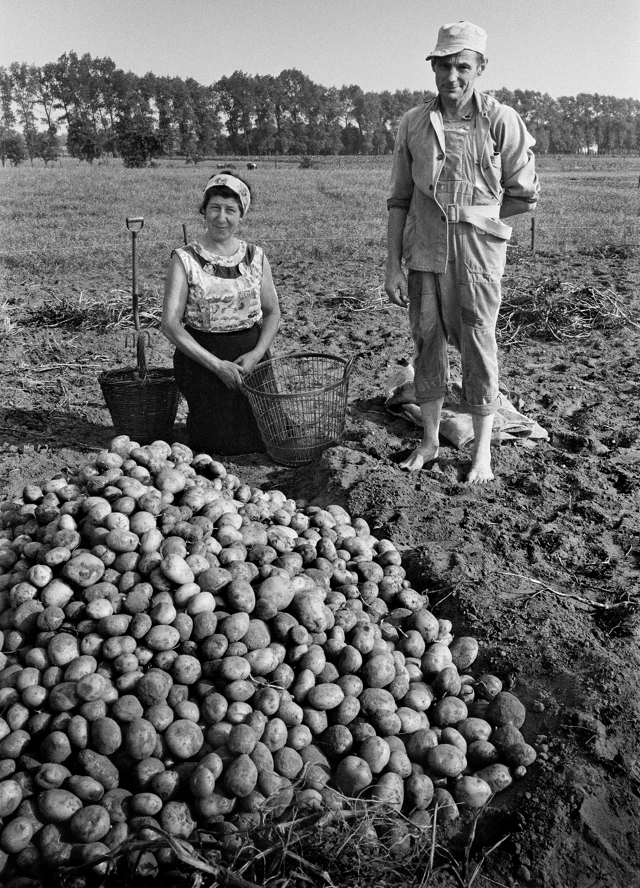 Fotograaf Walter De Mulder (89) overleden, chroniqueur van het ...