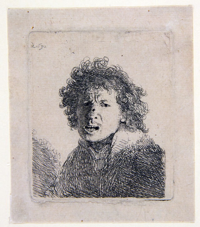 Een Bijbels tafereel en een hondendrol: expo in Antwerpen toont etsen ...