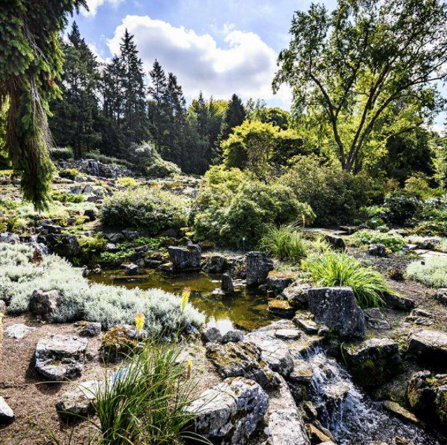 Gerestaureerde rotstuin van Huizingen wint prijs voor historische ...