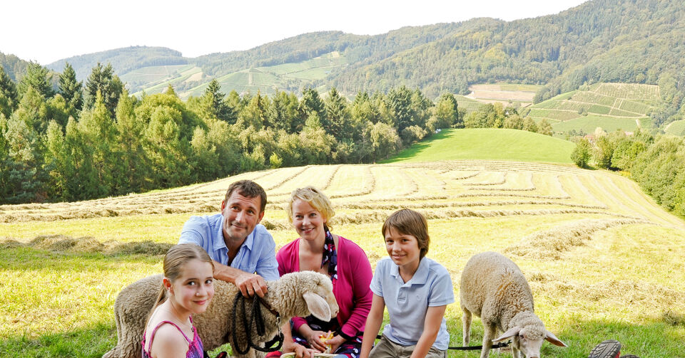 Huis vol dieren | VRT MAX