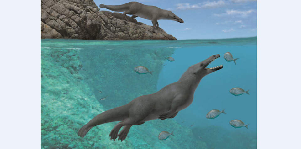 Zwanger van een tweeling via natuurlijke én kunstmatige wijze? "Hoogst ...