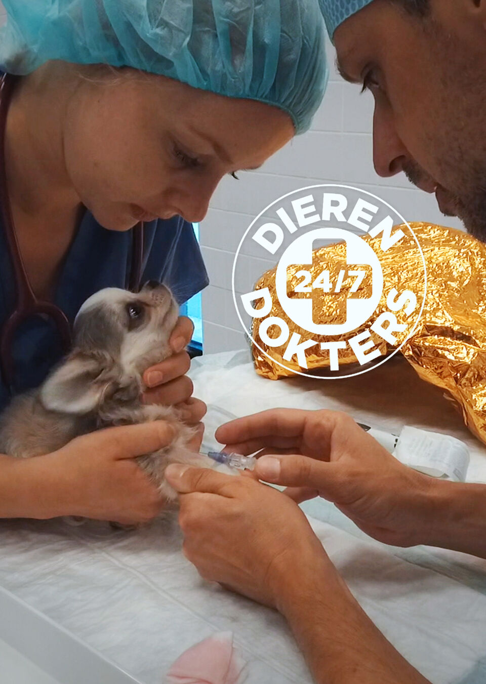 TV live kijken & herbekijken | VRT MAX