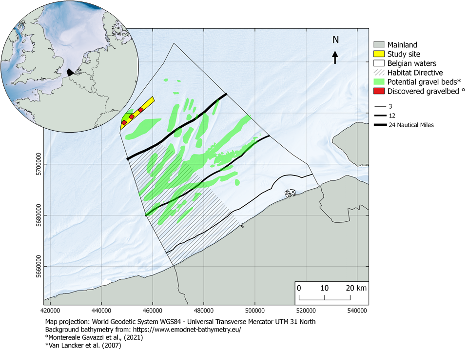 Hotspot voor onderwaterleven ontdekt in Belgische Noordzee onder ...
