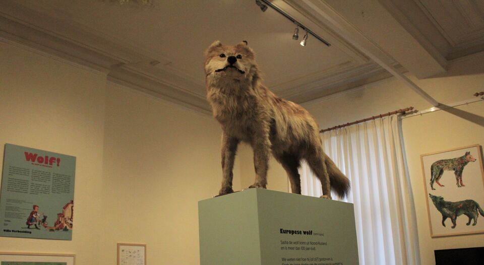 Expo Wolf! van Villa Verbeelding in Hasselt toont de wolf in vele ...