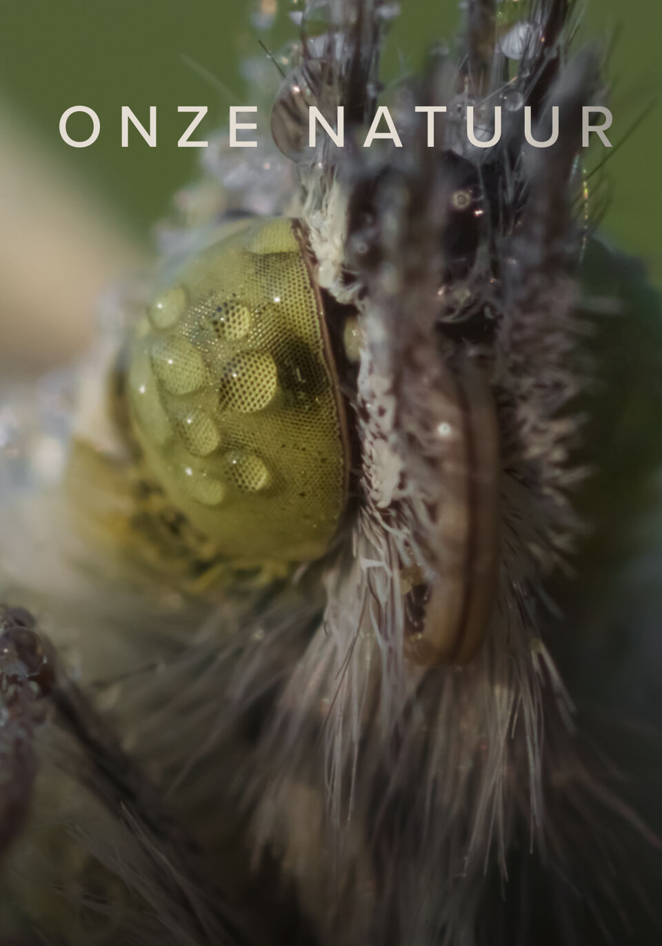 Documentaires en reportages | VRT MAX