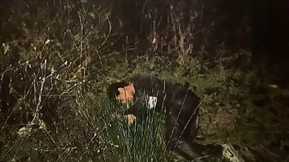 Laatste foto van Sanda Dia speelt belangrijke rol tijdens tweede ...