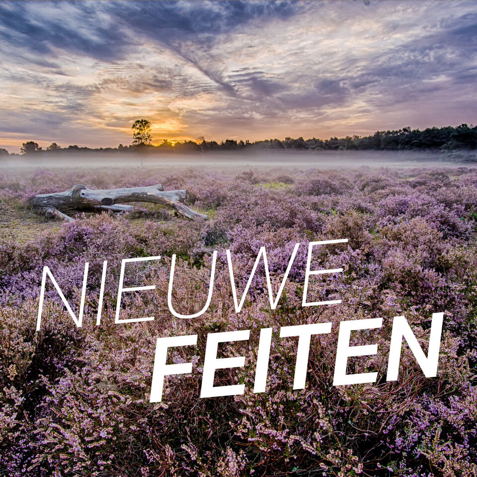 Hoe noem je de tijd dat je zonder je partner bent? - Nieuwe Feiten ...