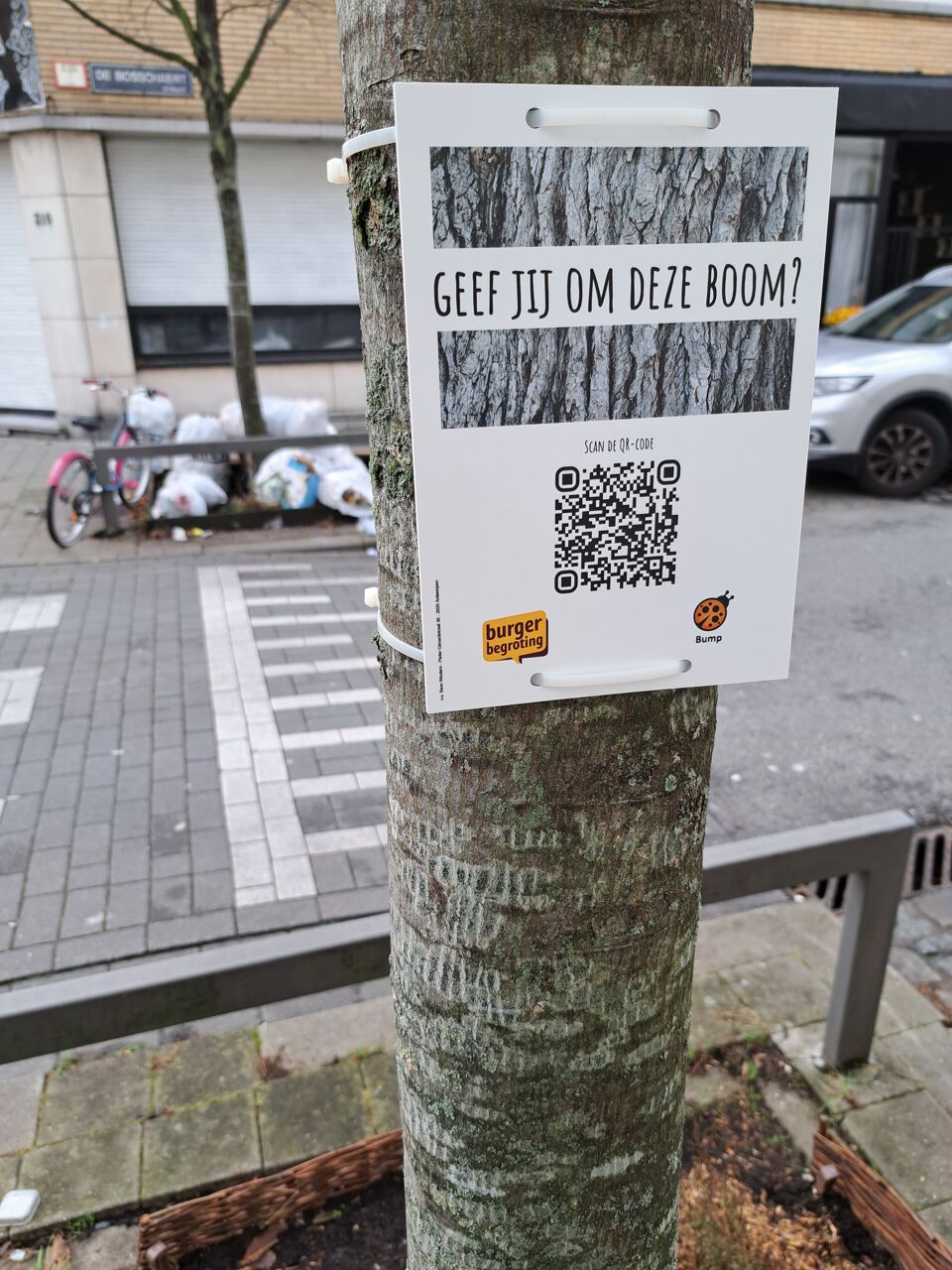 QR-codes op bomen op het Kiel in Antwerpen nodigen buurtbewoners uit om ...