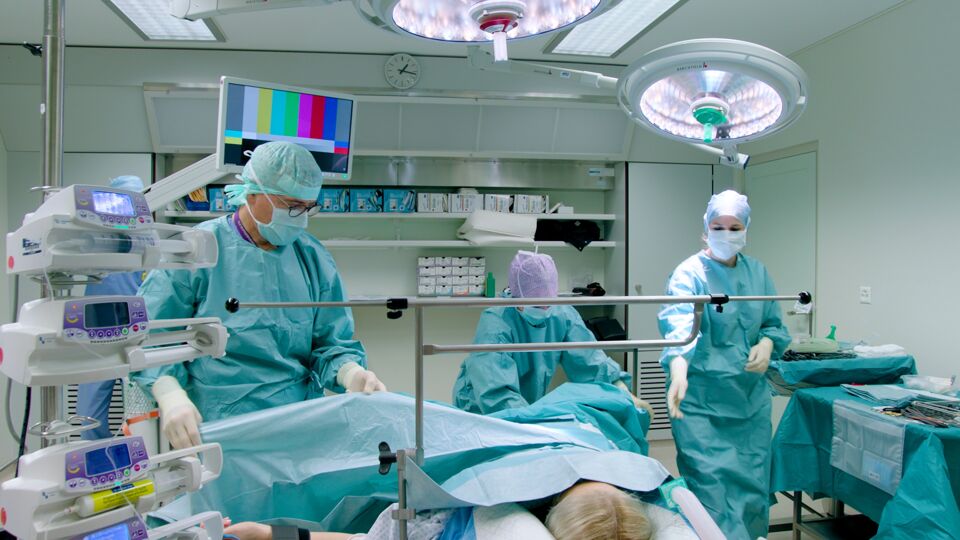 Pano - Nieuwe afleveringen vanaf 15 oktober - Trailer | VRT MAX