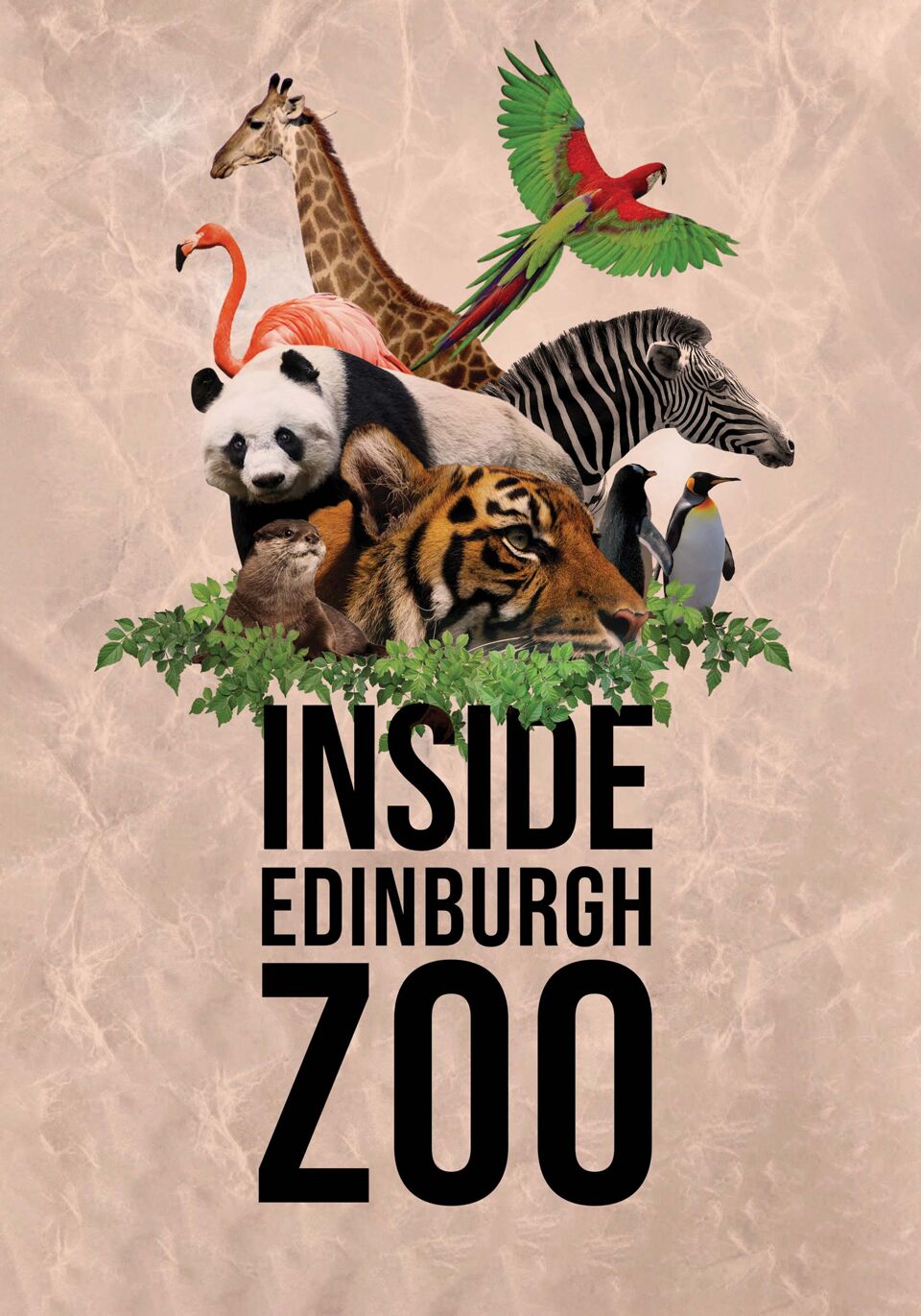 Documentaires en reportages | VRT MAX