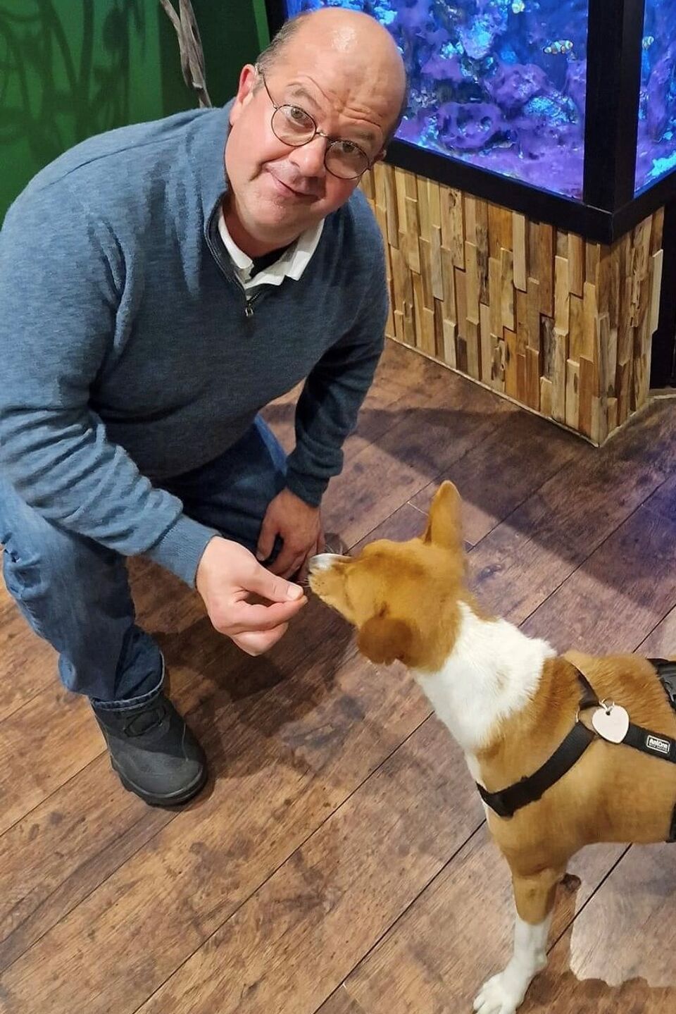 Speciaal menu voor honden in restaurant in Knokke-Heist: "Klanten ...