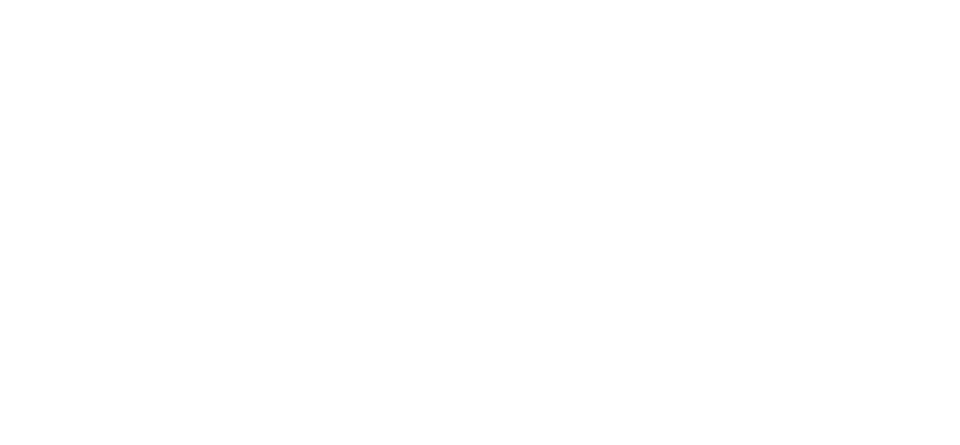 Abattoir Anvers | VRT MAX