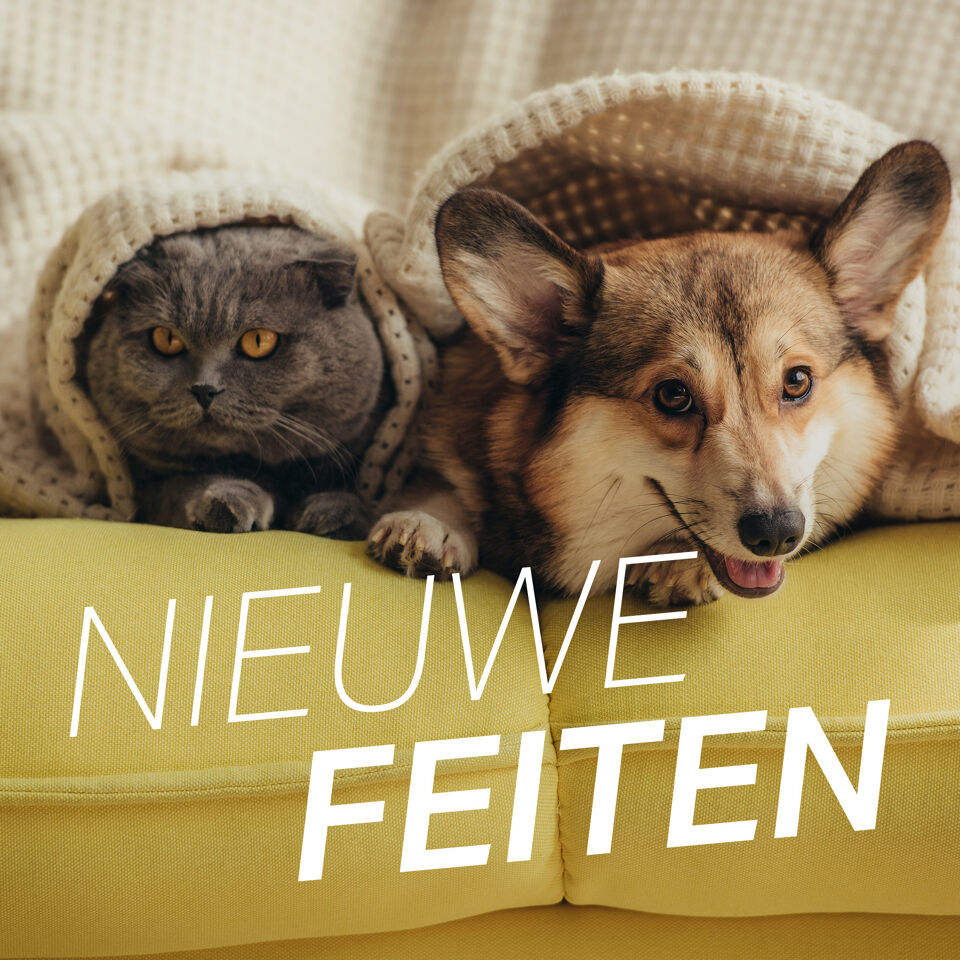 Nieuwe Feiten podcast | VRT MAX
