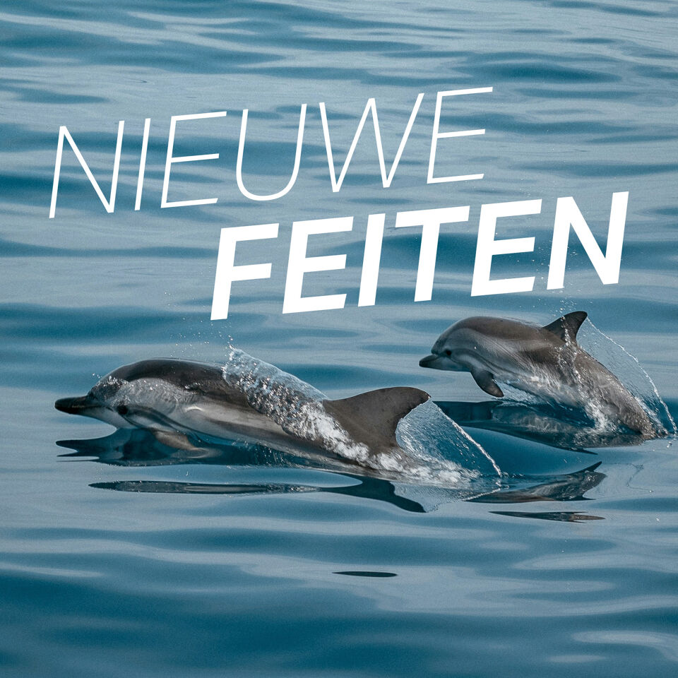 Nieuwe Feiten podcast | VRT MAX