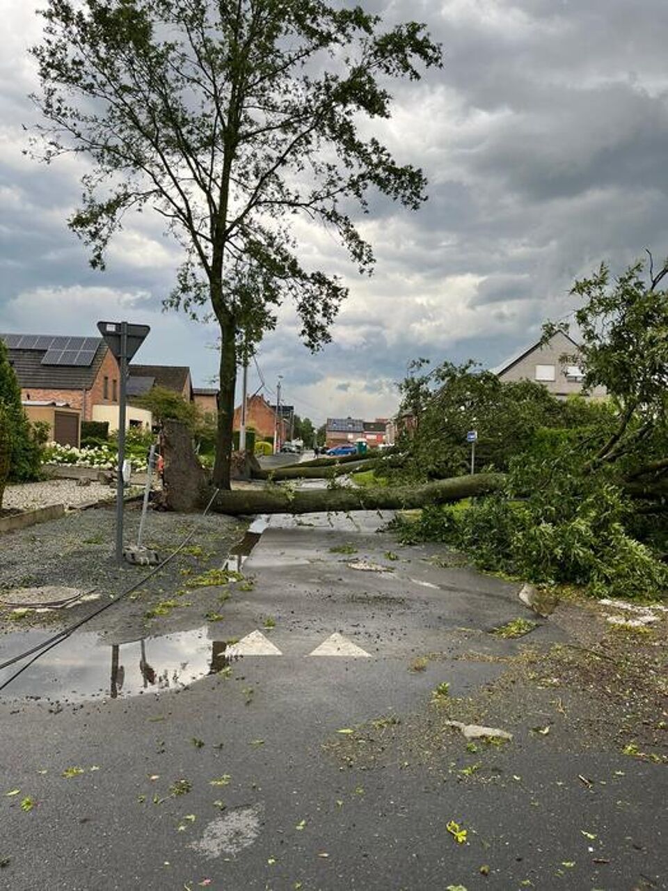 Liveblog onweer - Code oranje afgeblazen, uitslaande brand in boerderij ... Liveblog onweer - Code oranje afgeblazen, uitslaande brand in boerderij ...