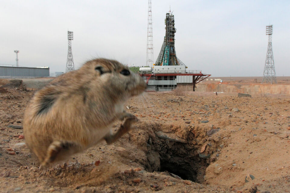 Belg en 2 Nederlanders gearresteerd bij Russische raketlanceerbasis in ...