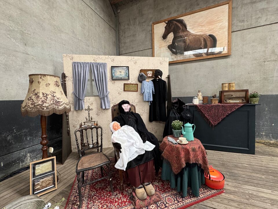 "Wisten zelfs niet dat we familie zijn van elkaar": groot familiefeest ...