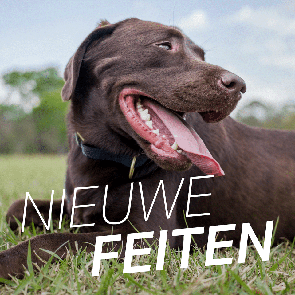 Nieuwe Feiten podcast | VRT MAX