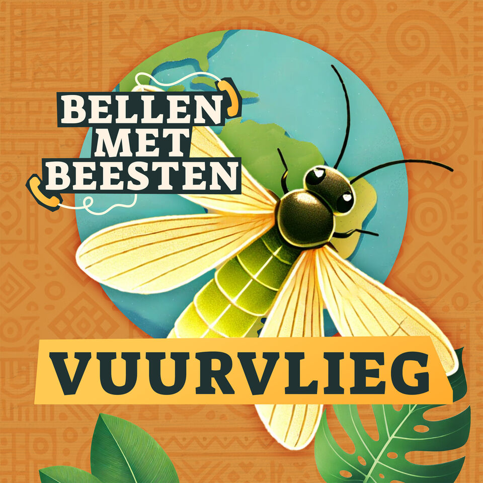 Ketnet podcasts | VRT MAX