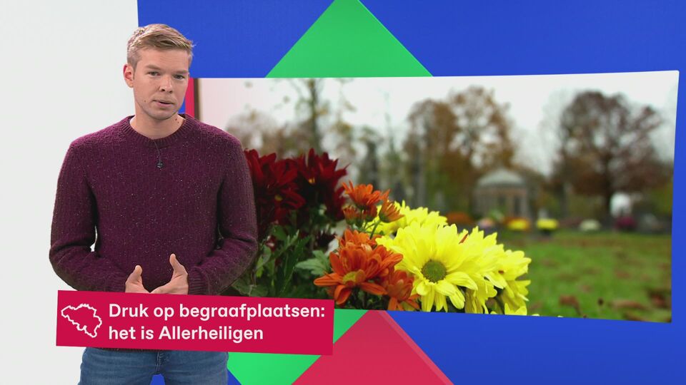 Karrewiet | VRT MAX