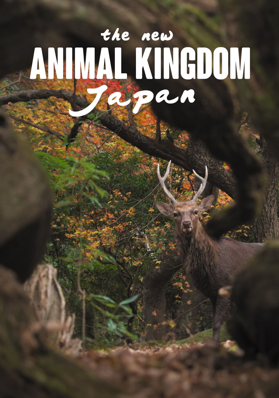 Documentaires en reportages | VRT MAX