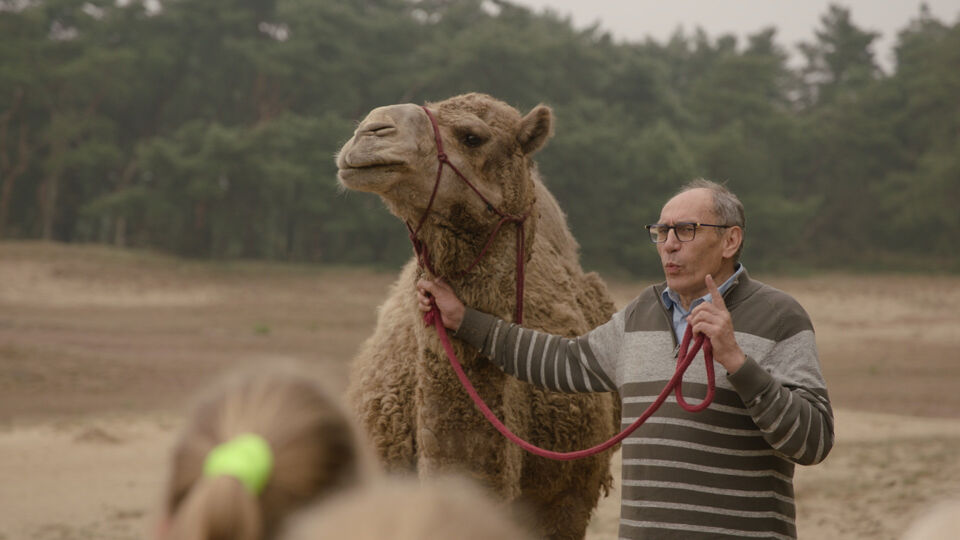 Knappe koppen | VRT MAX