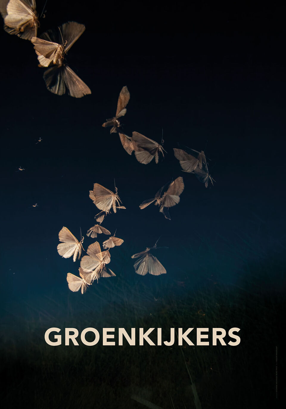 Documentaires en reportages | VRT MAX