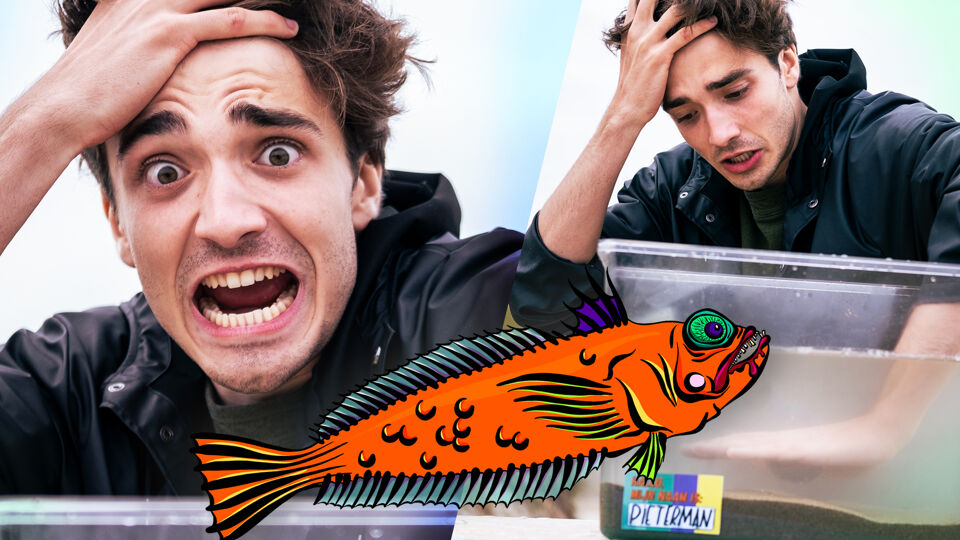 Prinsessia - Aflevering 11 (Seizoen 3) | VRT MAX