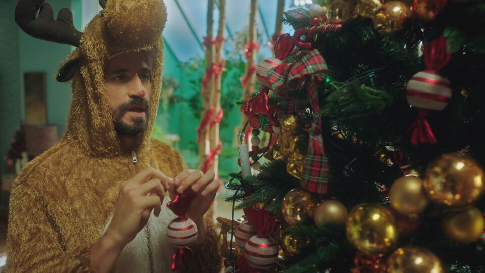 De Hoppers - Aflevering 11 (Seizoen 2) | VRT MAX