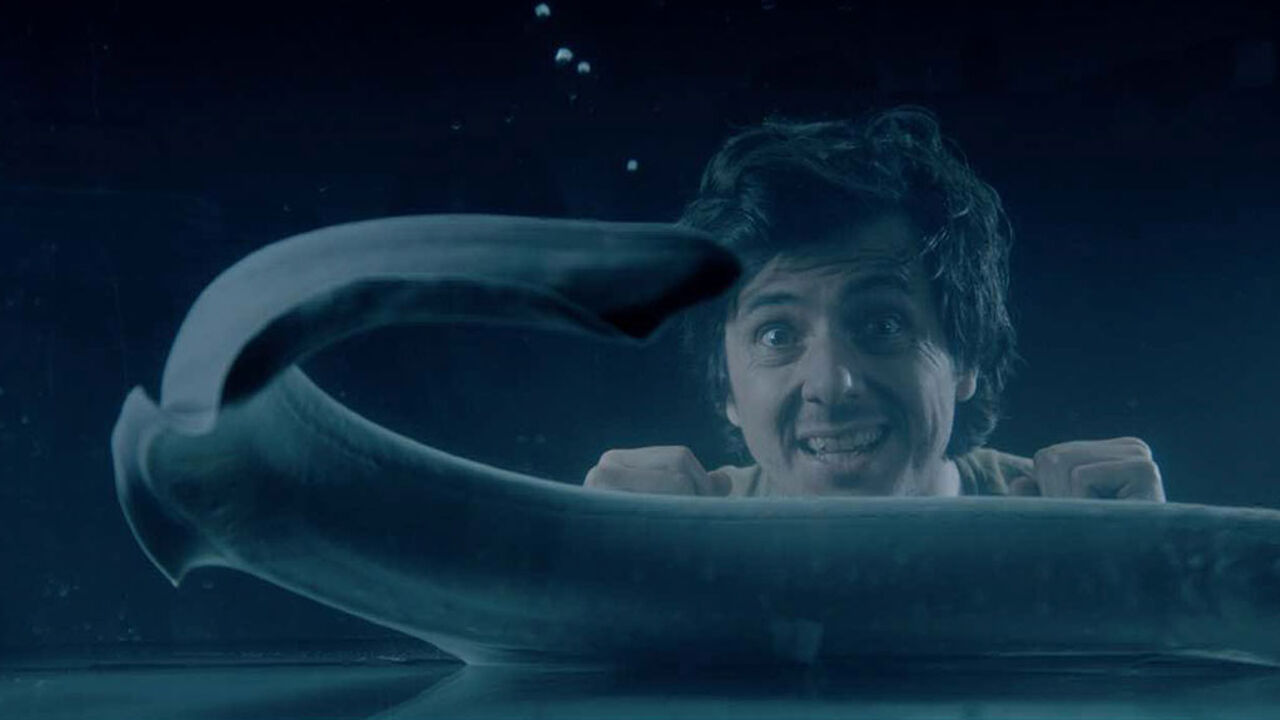 Sidderaal doet één avond kerstboom van Bart De Wever flikkeren | VRT ...