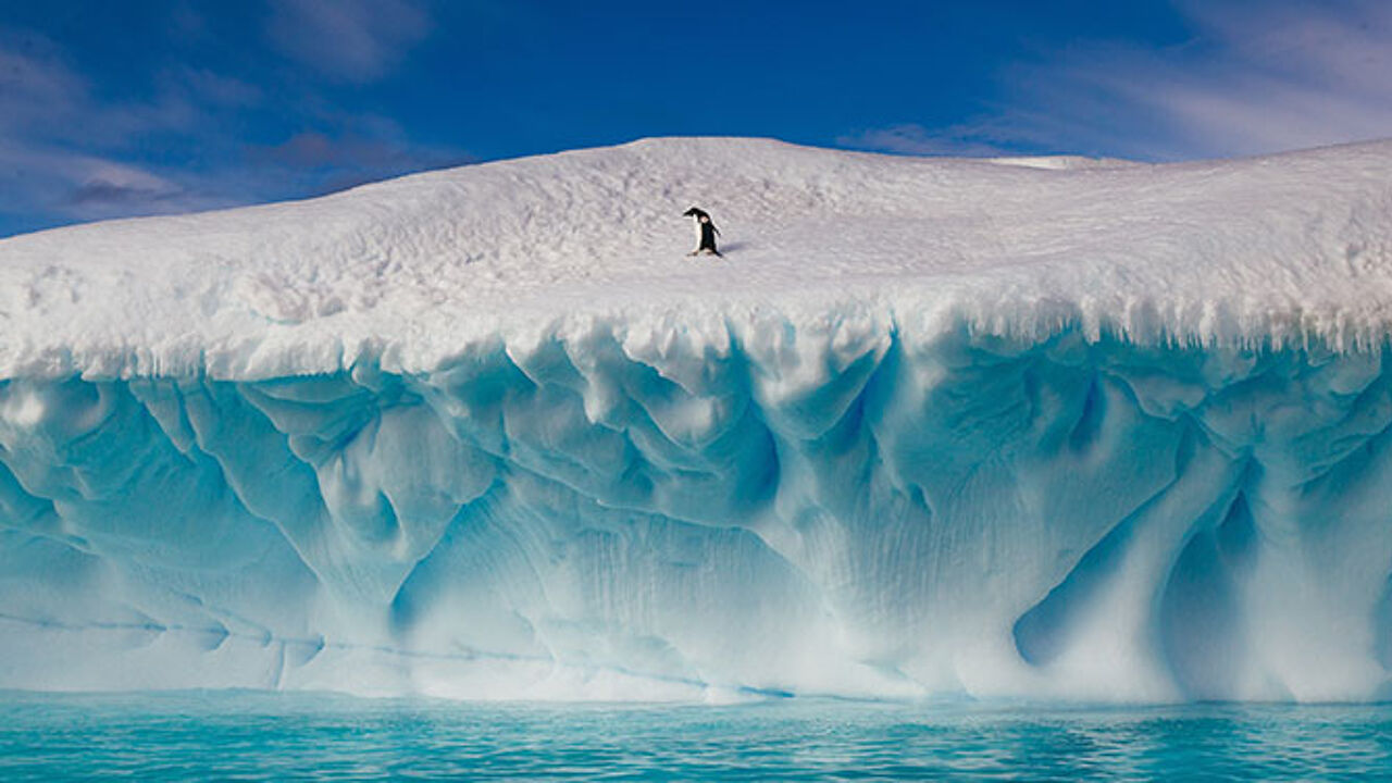 Waarom is de Noordpool sneller aan het smelten dan de Zuidpool? | VRT ...