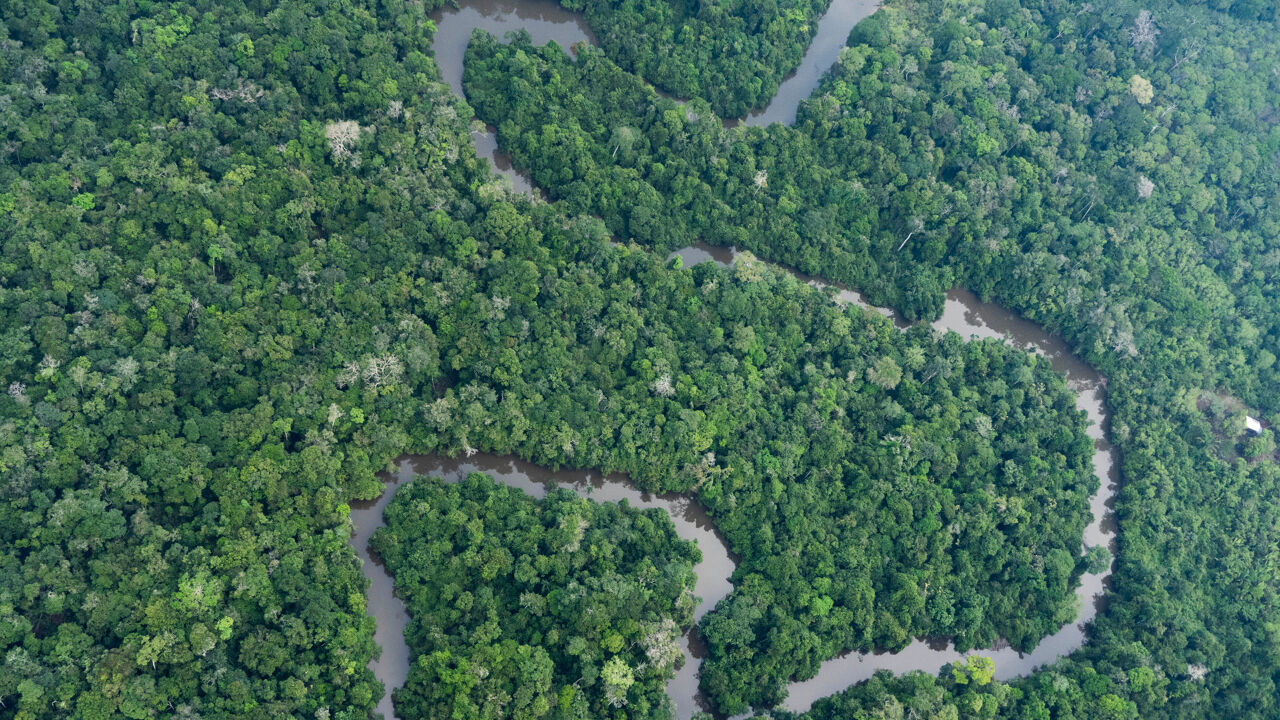 Hoe belangrijk is het Amazonewoud en brandt het er nu nog altijd zo ...