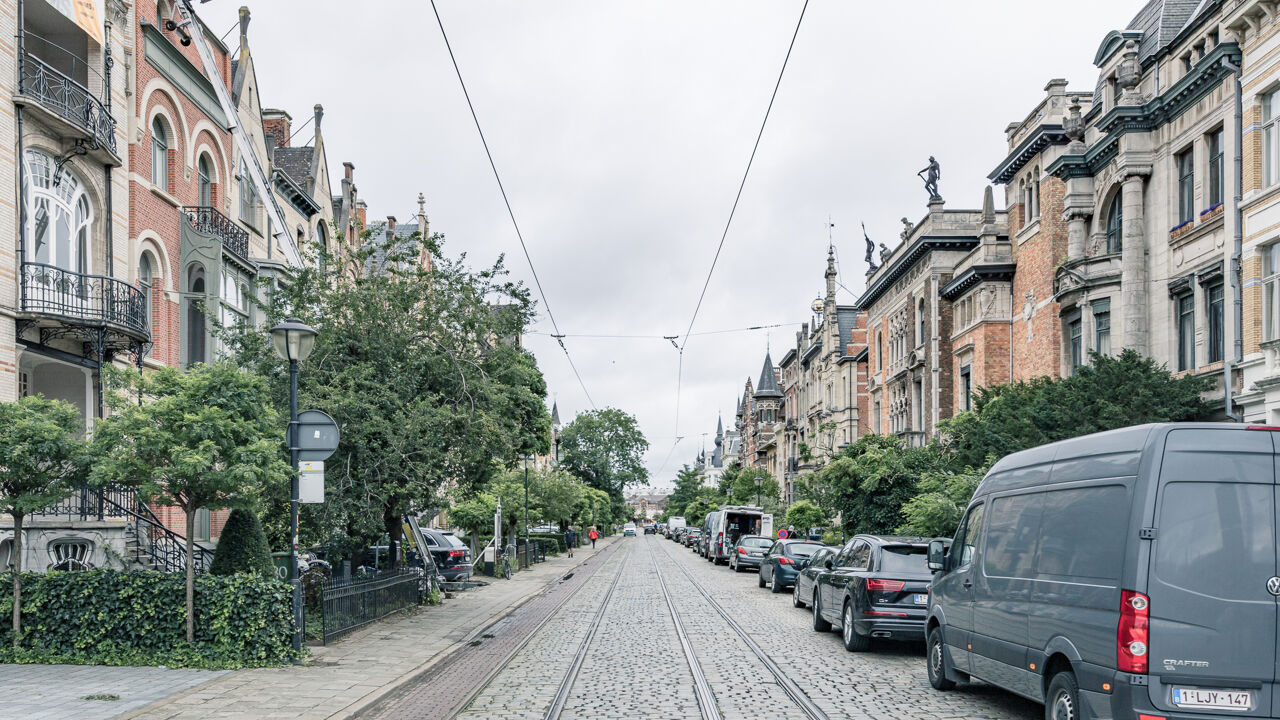 ‘Antwerp is Belgium’s Dutch-est city’ | VRT NWS: news