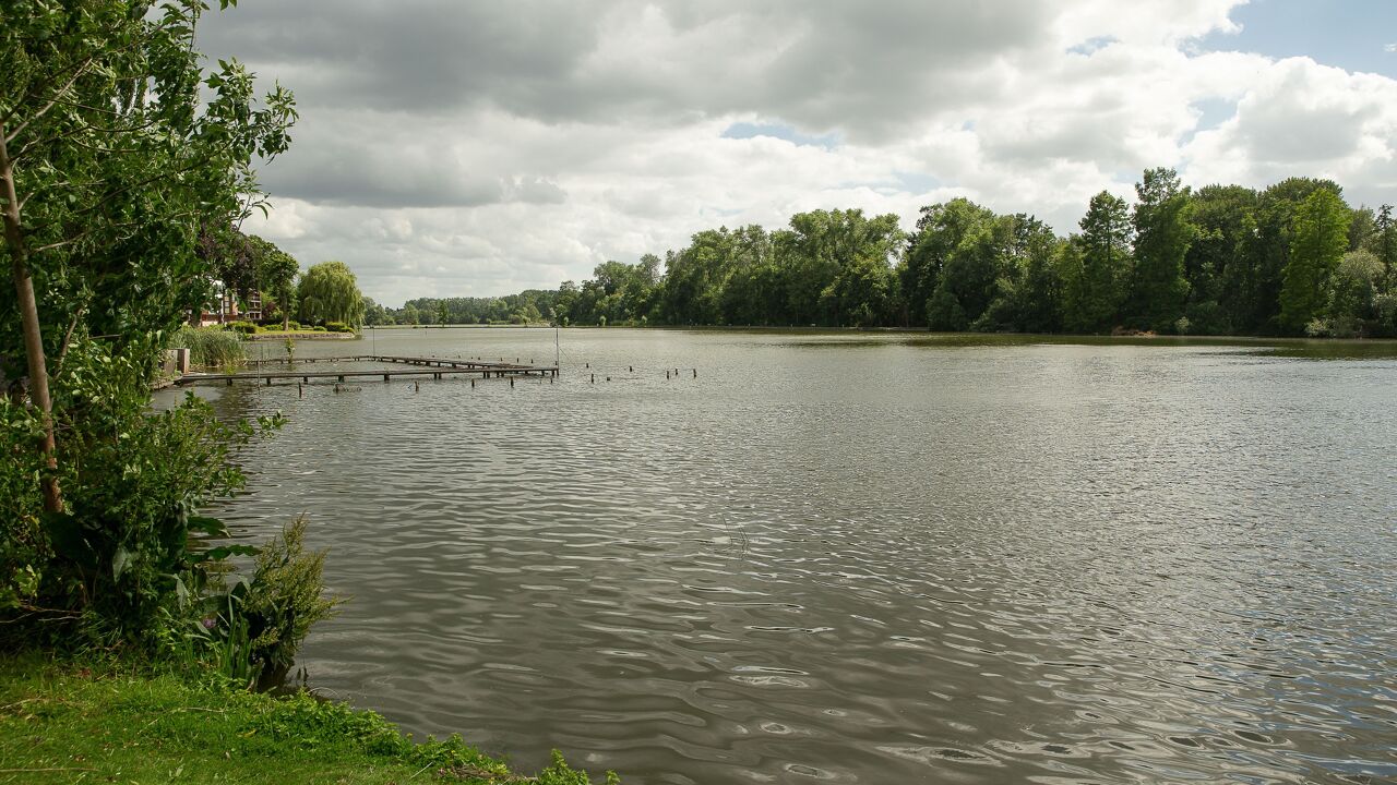Donkmeer in Berlare telt 17 verschillende vissoorten, "dat wijst op een ...