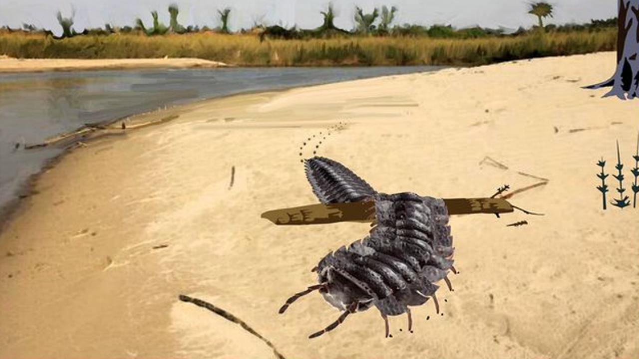 Zo groot als een auto: Britse wetenschappers ontdekken grootste fossiel ...