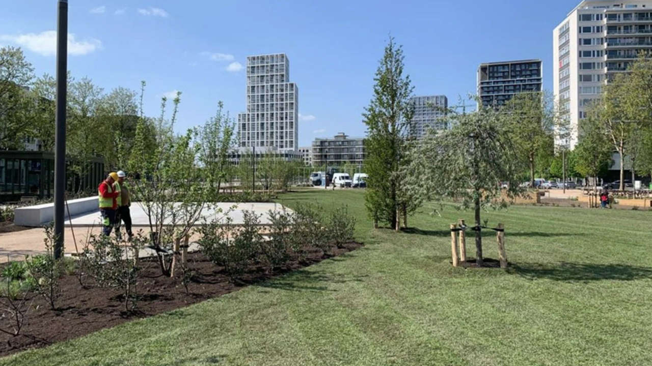 Eerste deel nieuw park aan Gedempte Zuiderdokken in Antwerpen is klaar ...