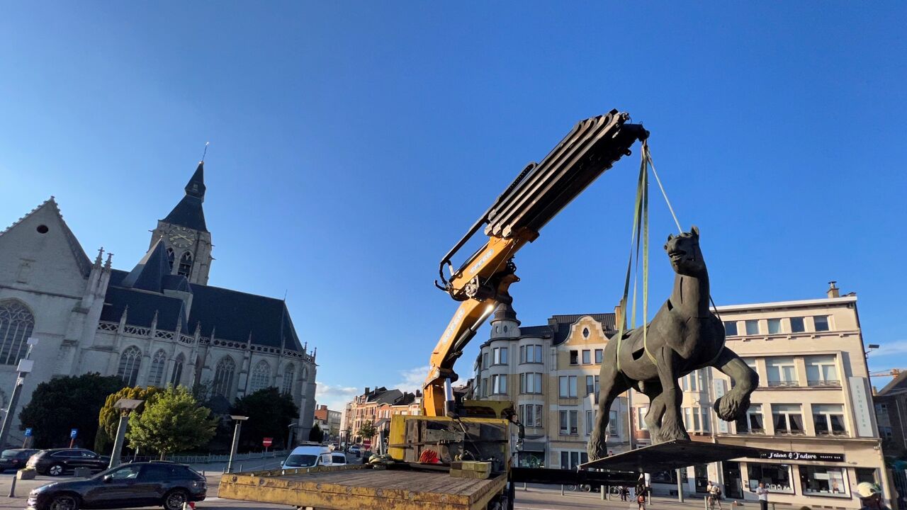 Opvallend beeld in Vilvoorde: bekendste paard verhuist door werken ...