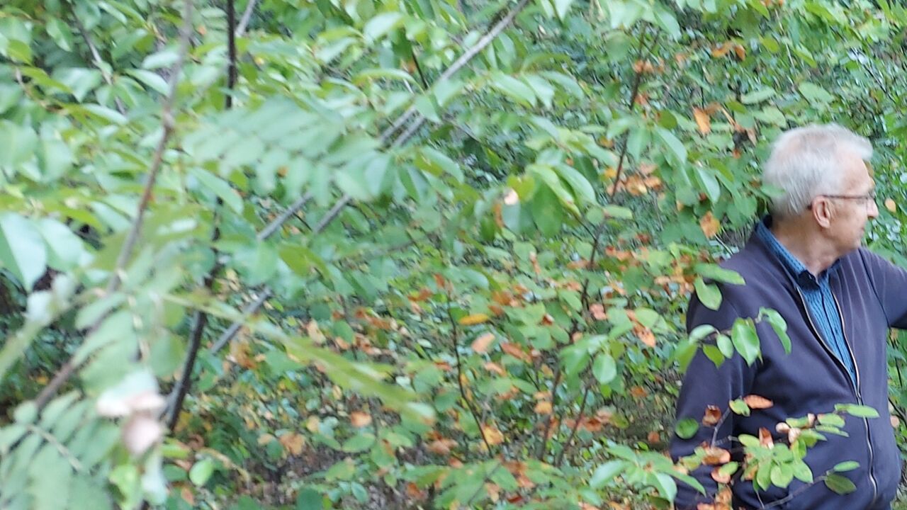 Mysteries ontrafeld: wie was de man die op een winterdag in 1937 uit ...