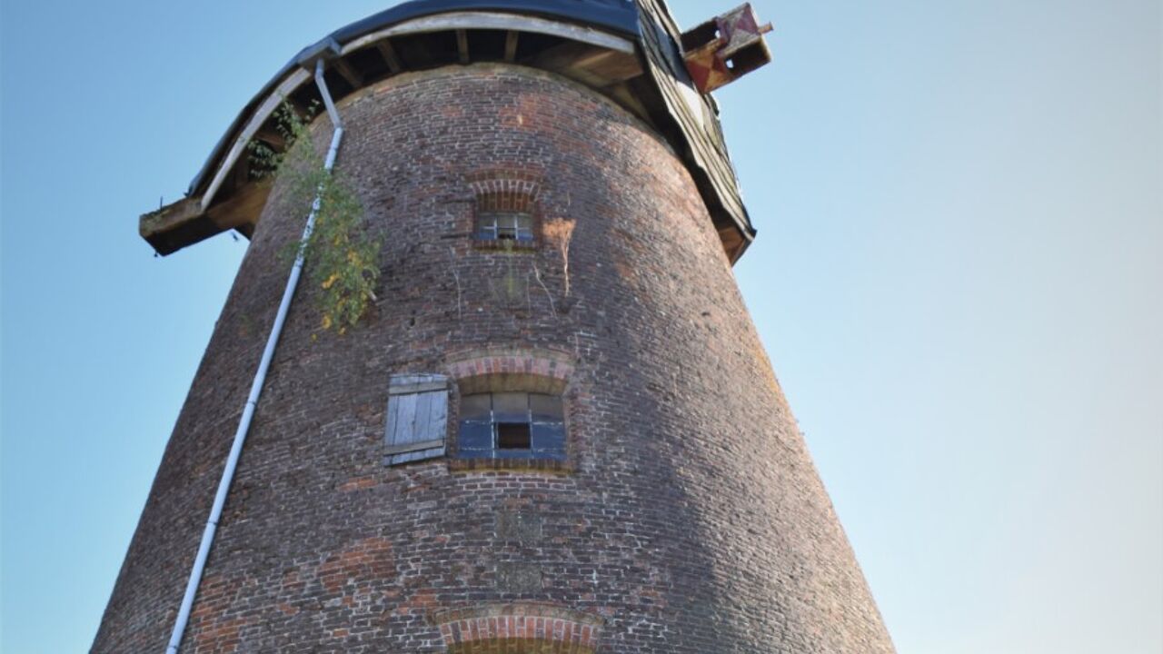 Oosterzele wil dé Oost-Vlaamse molengemeente zijn: binnenkort malen 3 ...
