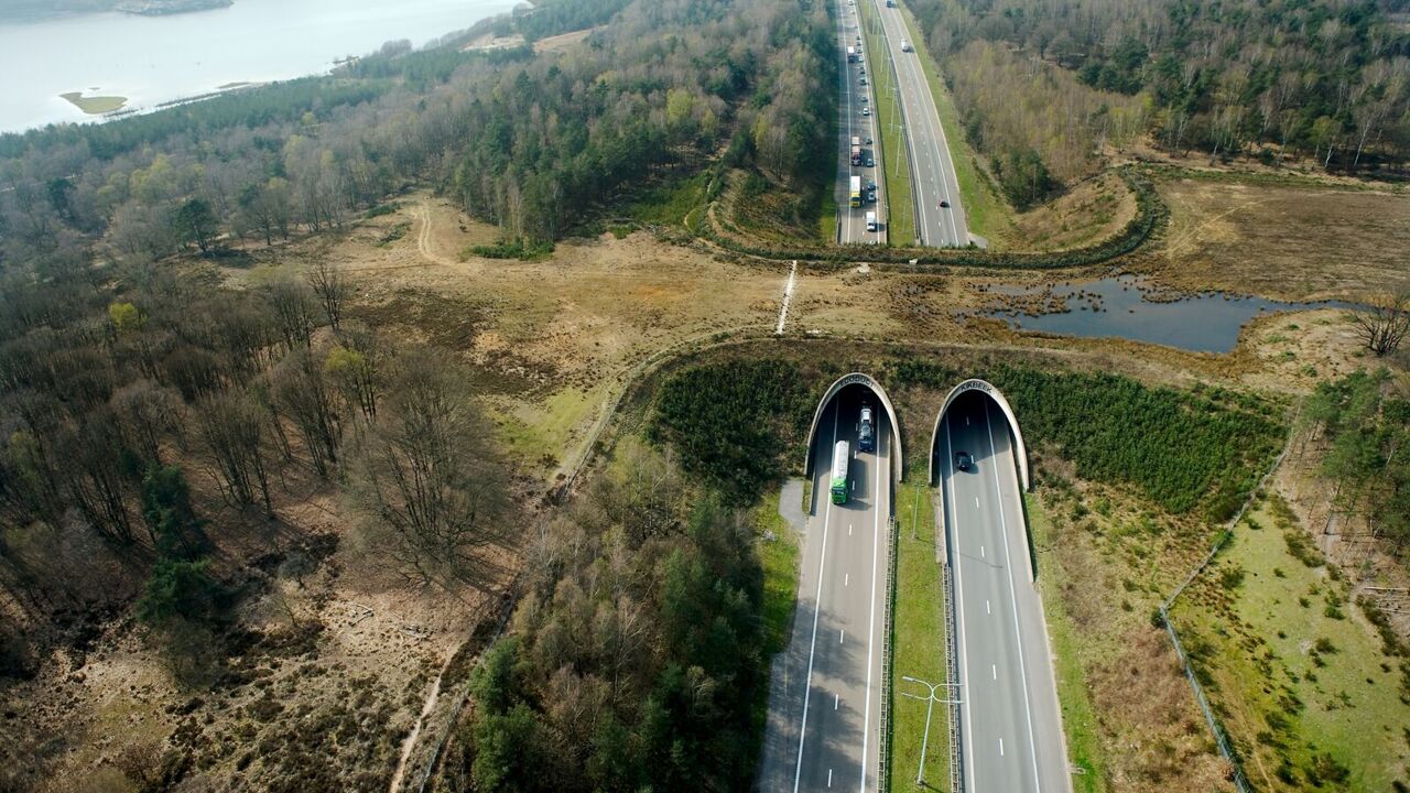 Vlaanderen start dit najaar met de aanleg van ecoducten in Lommel en ...