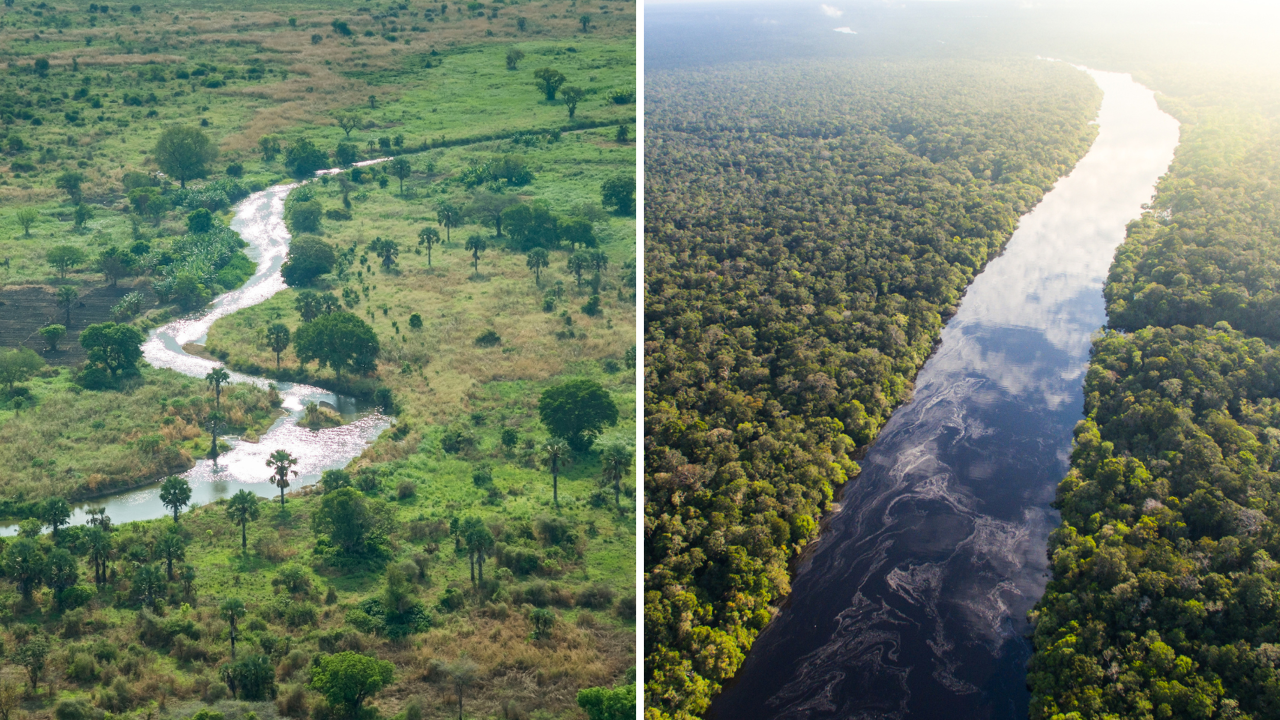 Nijl of Amazone? Wetenschappers oneens over welke rivier nu écht de ...