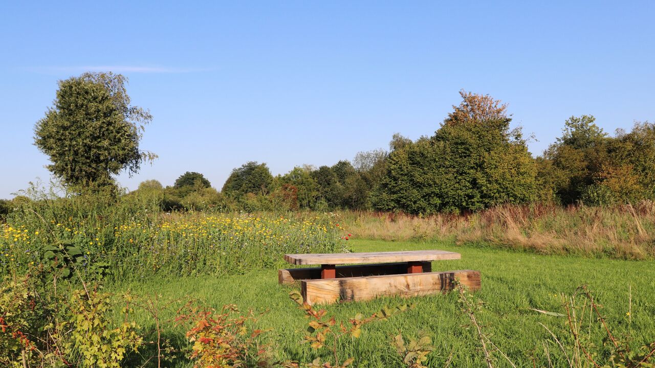 Nieuwe natuurbegraafplaats in Ternat: "Veel inwoners willen na dood ...