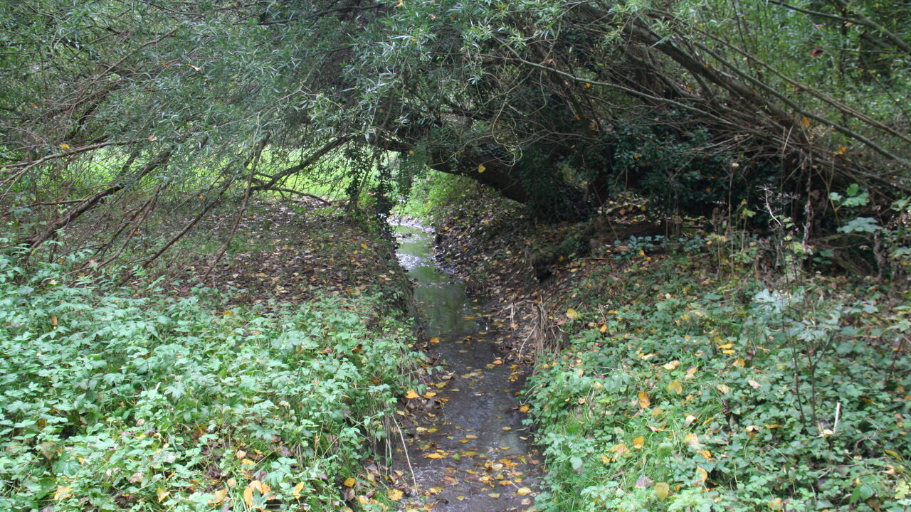 1,5 miljoen euro voor openleggen Kwadebeek in Sint-Genesius-Rode | VRT ...