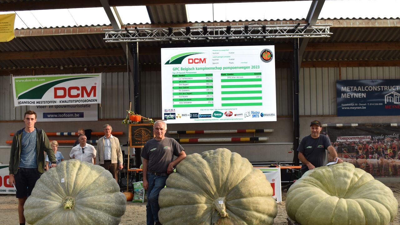 Herman Boonen uit Kasterlee is Belgisch kampioen met pompoen van 1.000 ...