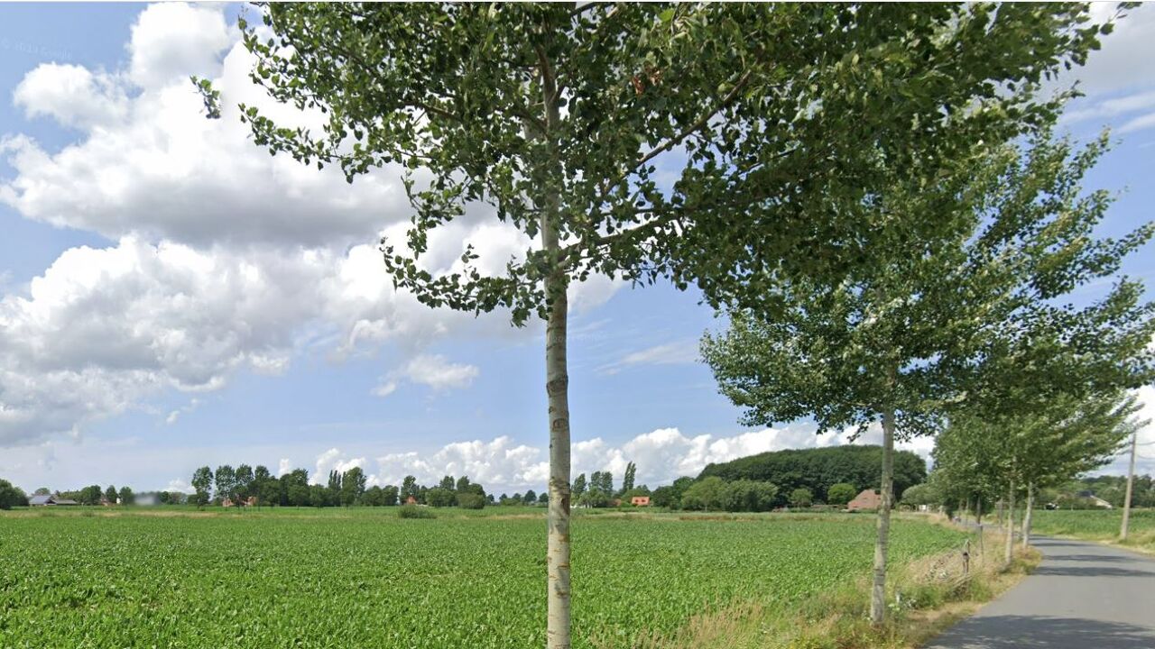 Vrasene dient klacht in tegen onbekenden die in 23 bomen zaagden | VRT ...