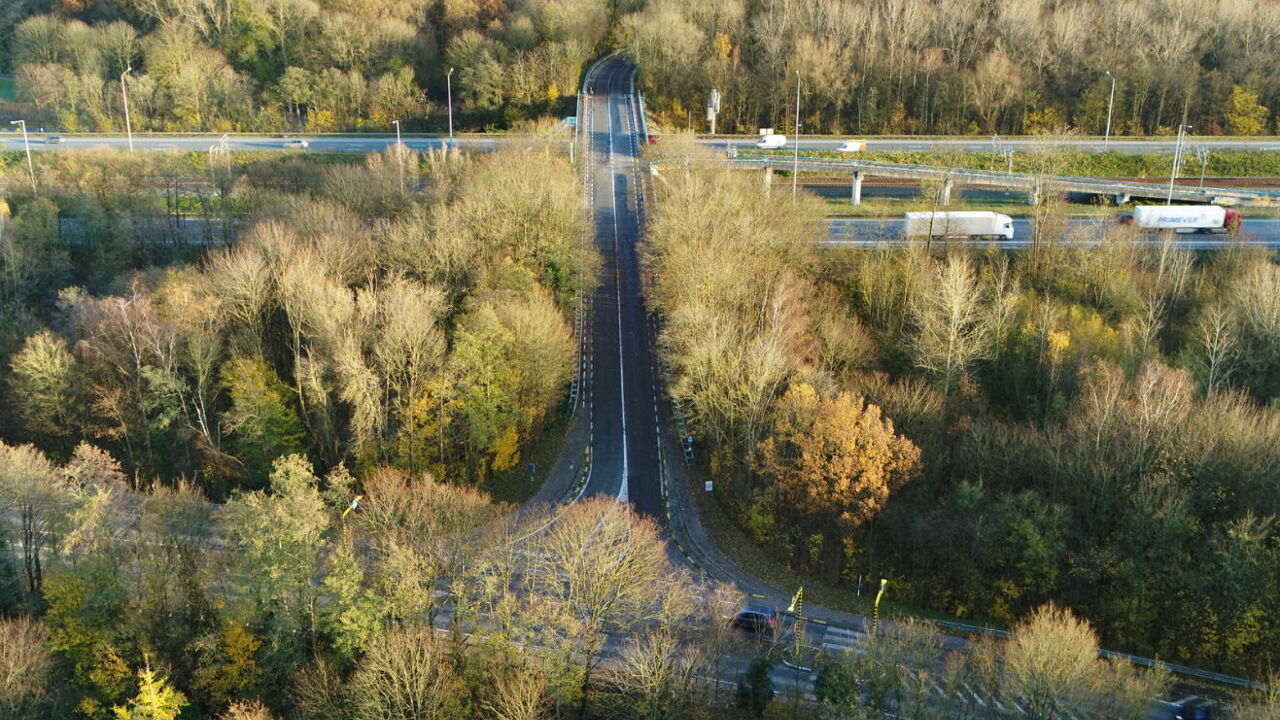 Asfalt maakt plaats voor groen in Vilvoorde, brug wordt ecoduct | VRT NWS: nieuws