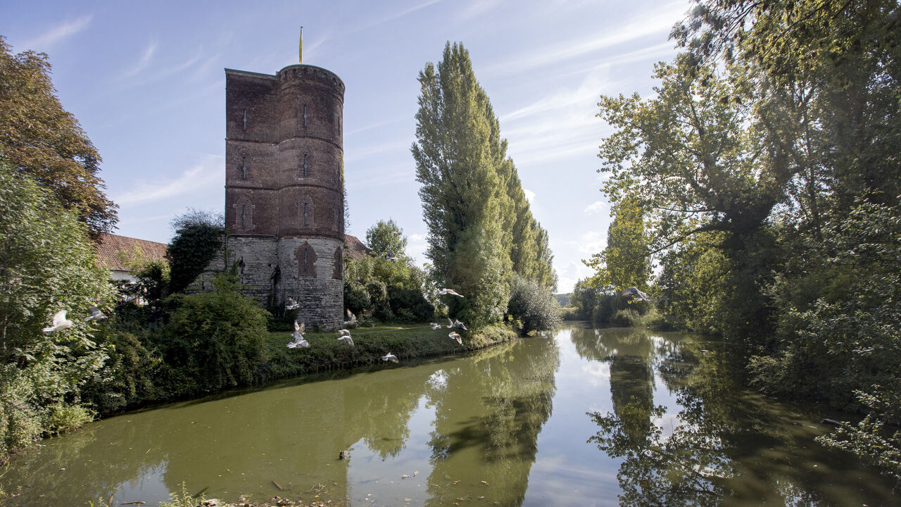 Valkeniers jagen met buizerds de duiven weg aan historische gebouwen in ...