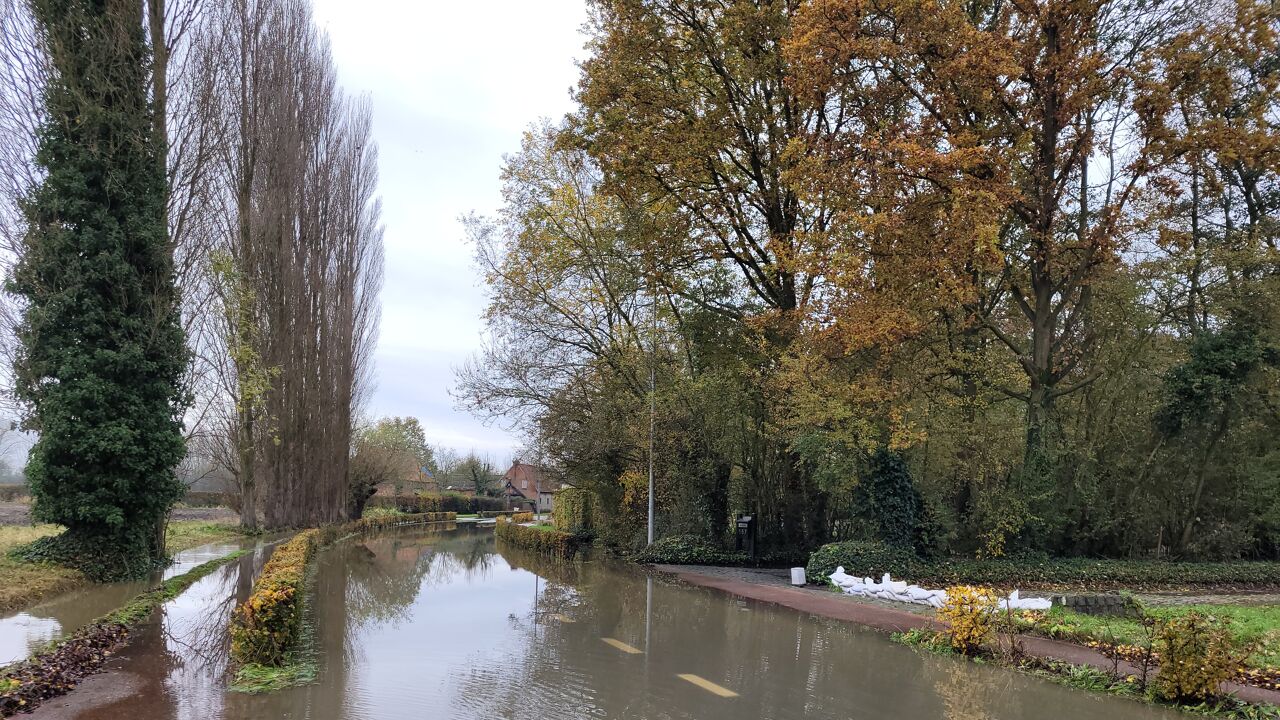 In Londerzeel start opkuis na wateroverlast van vorige week, "tenzij de ...